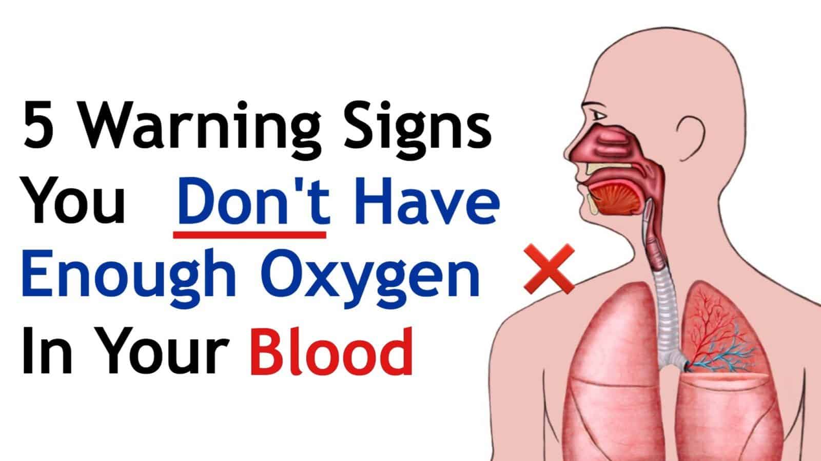 5 Signs That You Do Not Have Enough Oxygen In Your Blood 5 Signs That You Do Not Have Enough Oxygen In Your Blood