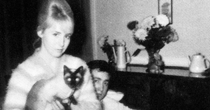 John and Cyn: Volume 2: Life with Mimi