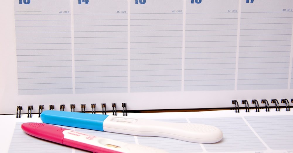 APRENDIENDO JUNTOS: EL CALENDARIO