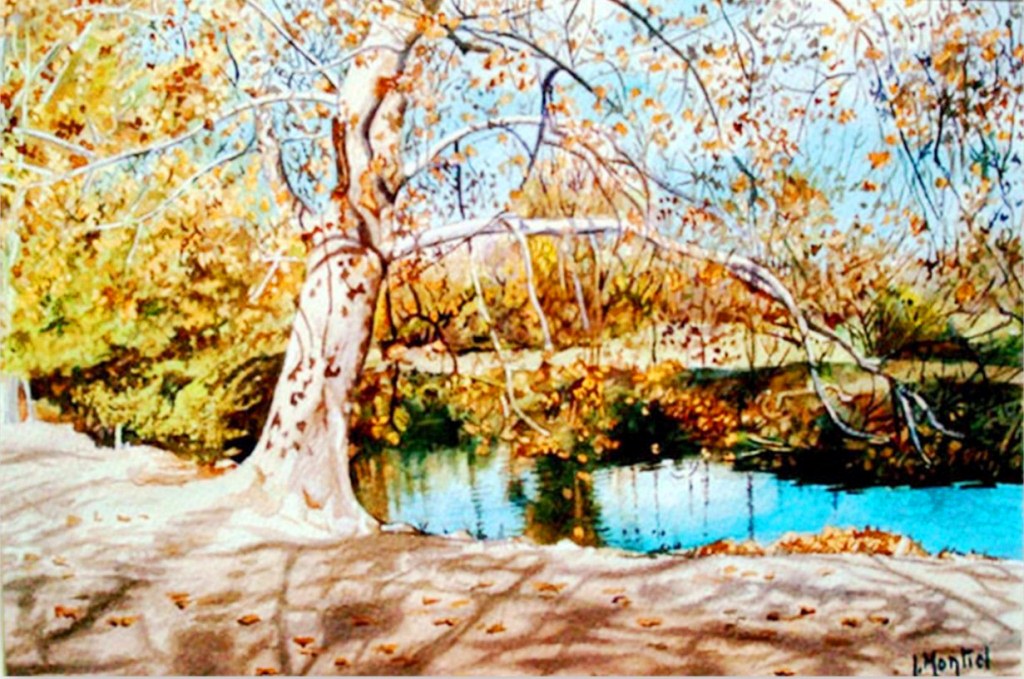 Historia y evolución de la pintura artística : Paisajes con acuarela