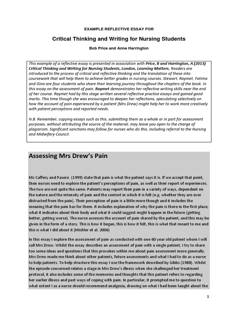 Reflective Essay Examples Nursing ~ Resume Letter