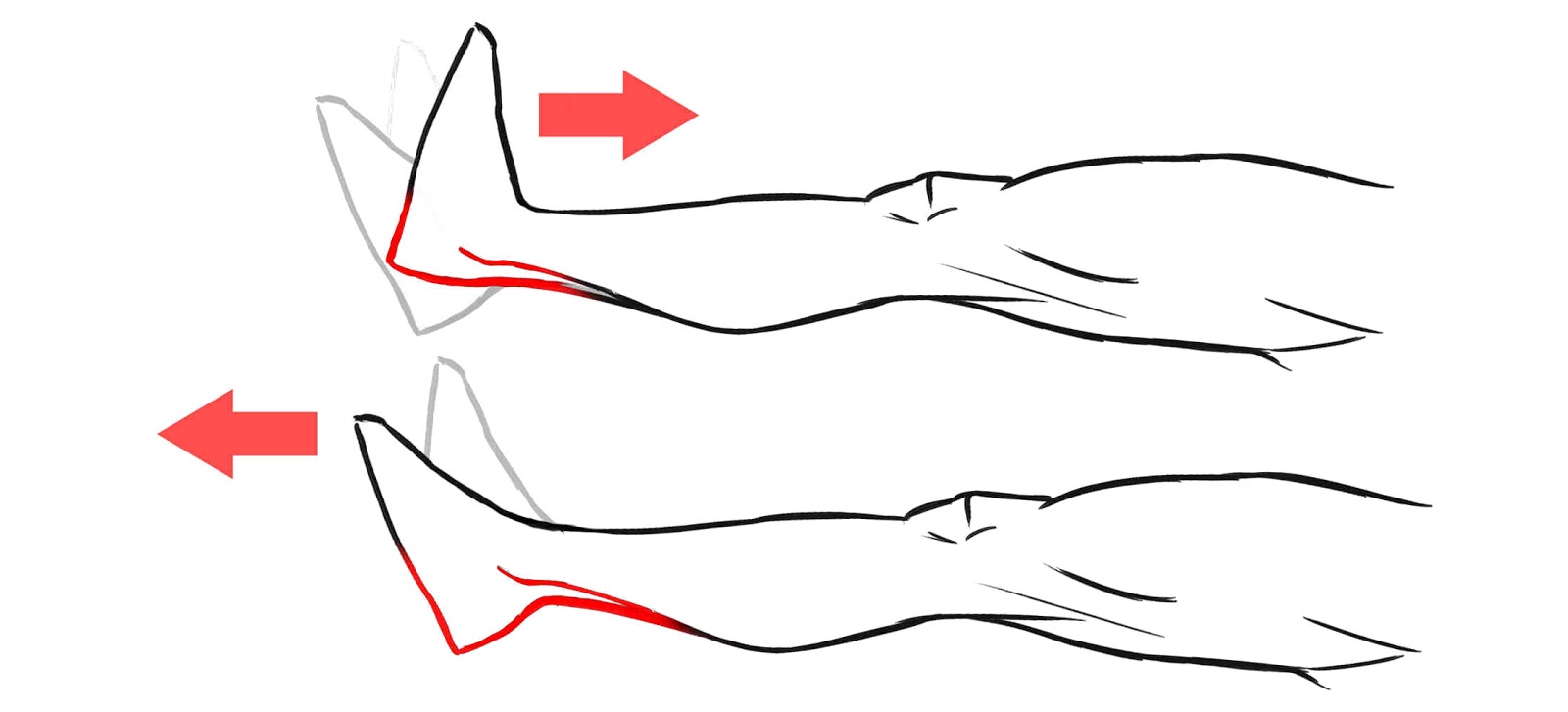 Physical Therapy Exercises for Ankle Sprains | PT-Helper