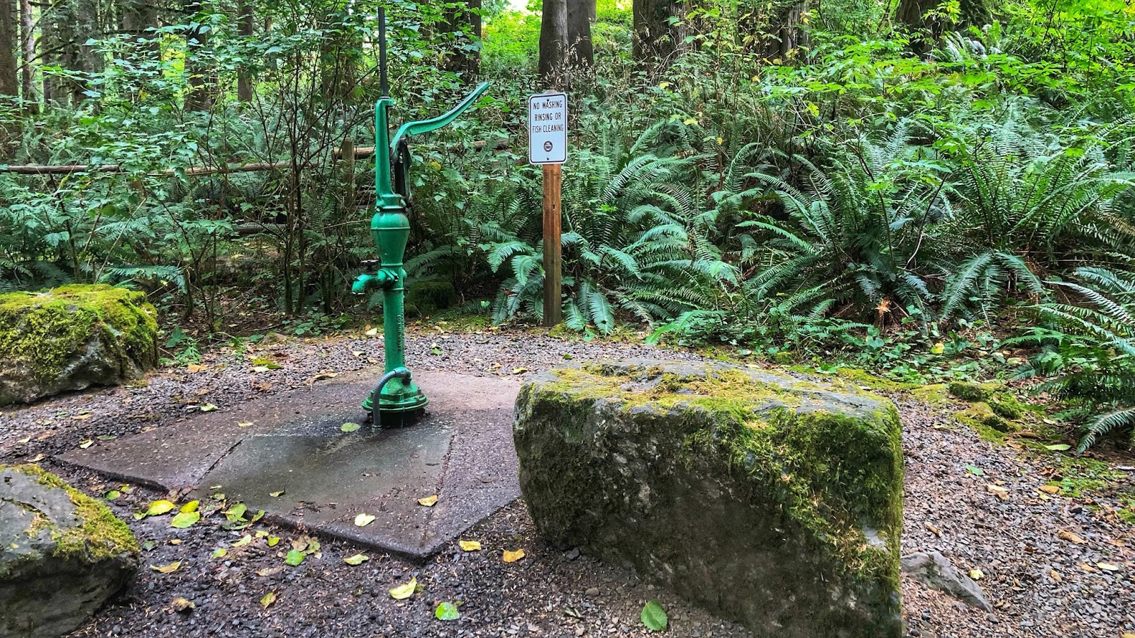 Over the Hill Sisters: Nehalem Falls Campground (OR)