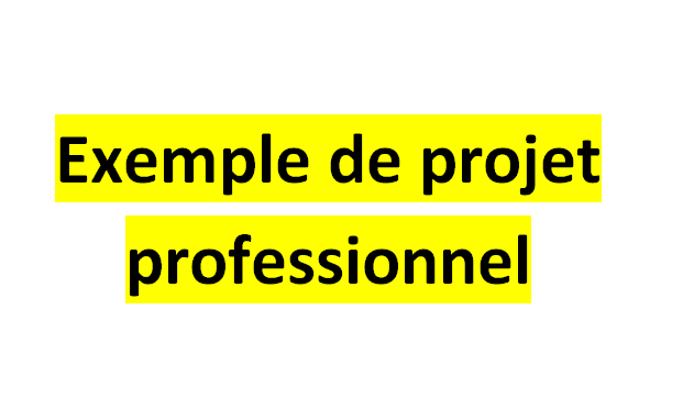 Exemple de projet professionnel | Cours de droit