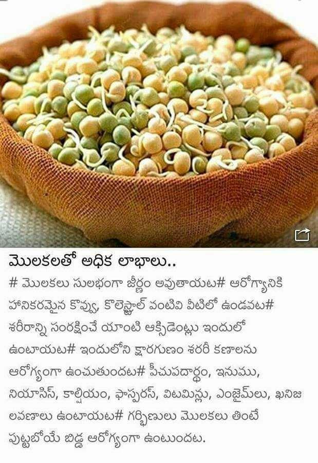 CHODAVARAMNET: HEALTH BENEFITS WITH MOLAKALU