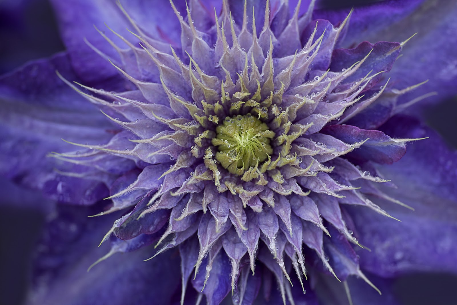 Kathleen Clemons Photography