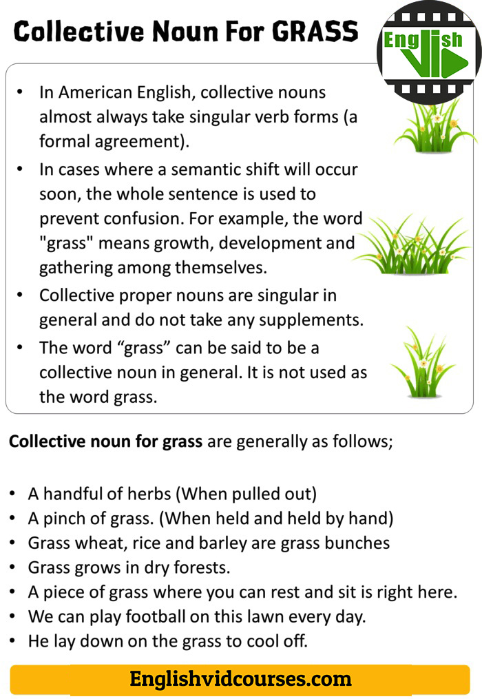 Online English Courses Collective Nouns For Grass online-english-courses-collective-nouns-for-grass