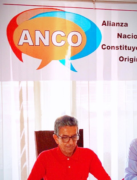 OPINIÓN: ¿Qué hace ANCO? ¿Qué pasó con la consulta y el mandato?