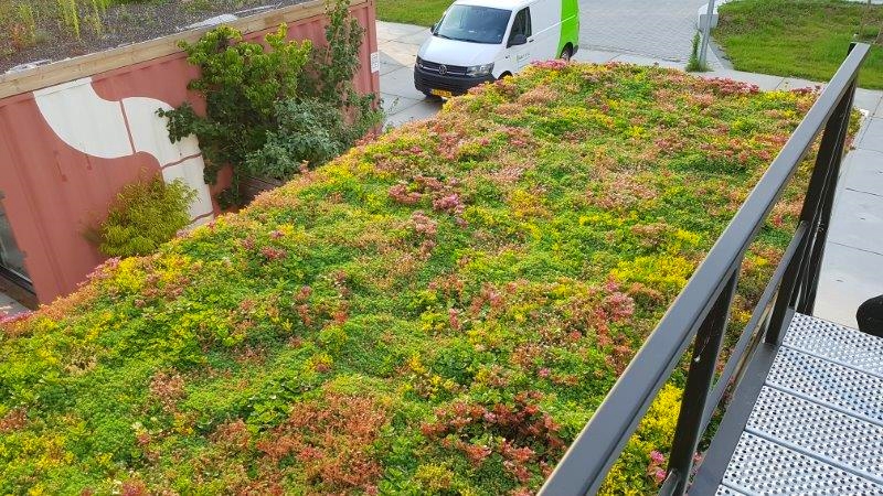 Shipping Container Homes & Buildings: Shipping Container Homes and ...