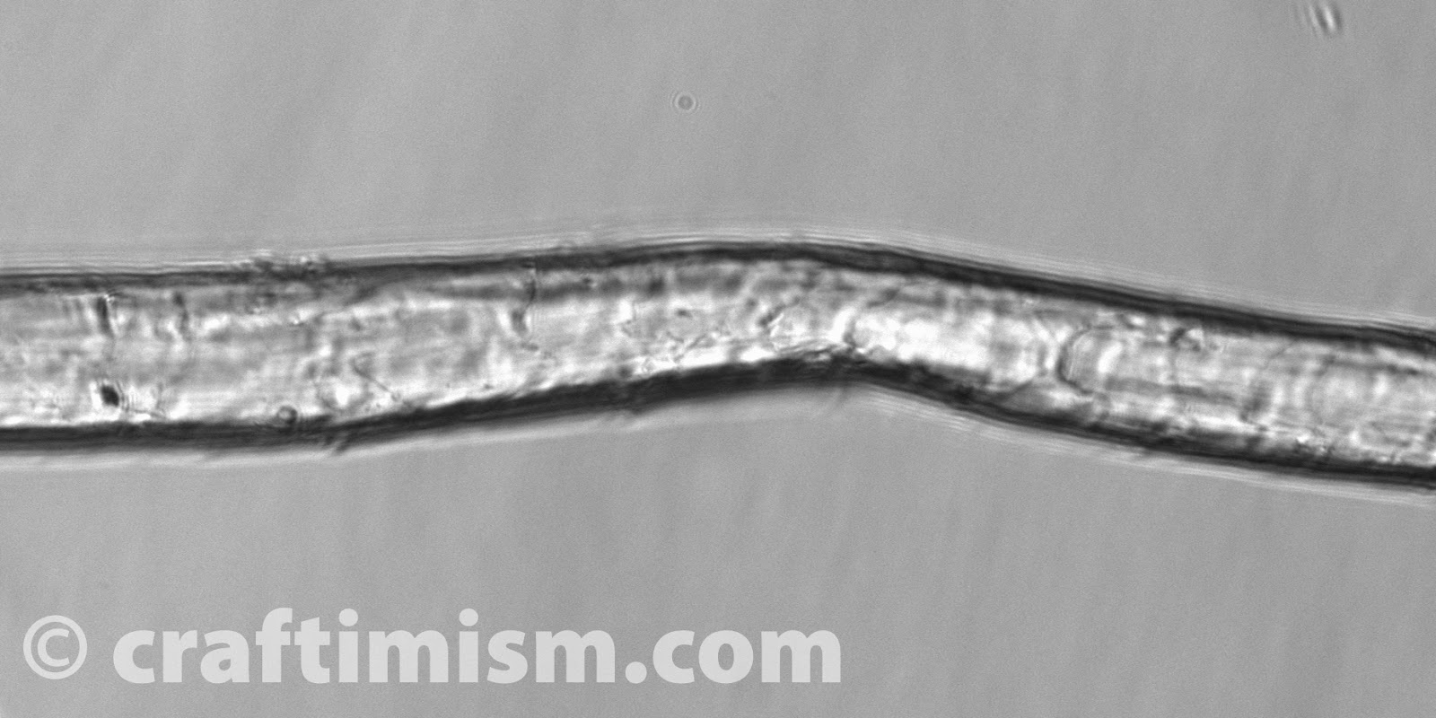 Craftimism: Yarn under the microscope