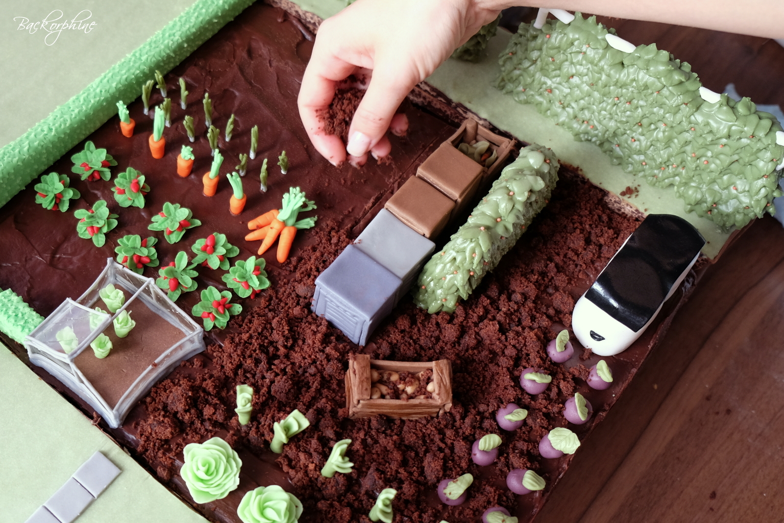 Backorphine: TUTORIAL - Unterwegs im Gemüsebeet / Fondant Vegetable Cake