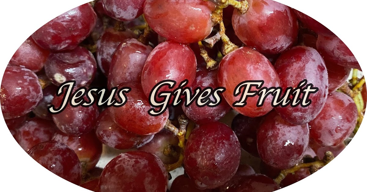 Lynn Lacher : Jesus Gives Fruit