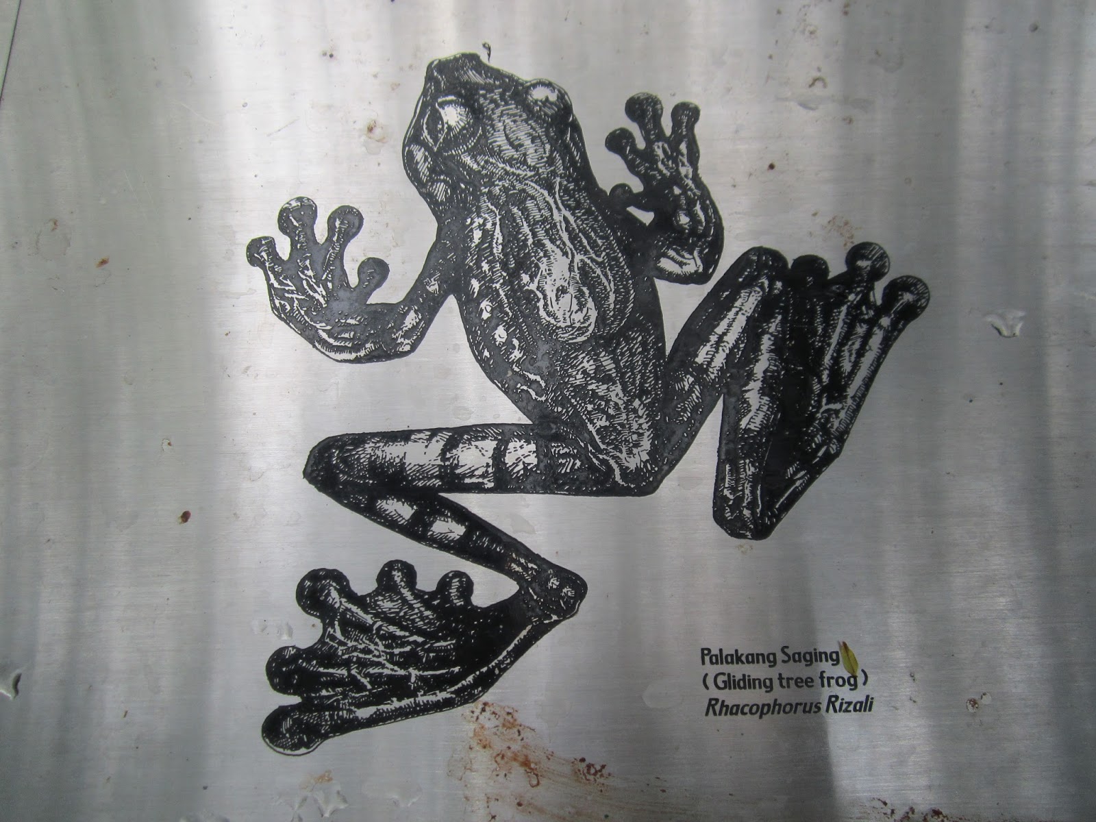 Identity, Ideas, Ideals: Rizal as Teacher, Farmer, Surgeon and Engineer ...