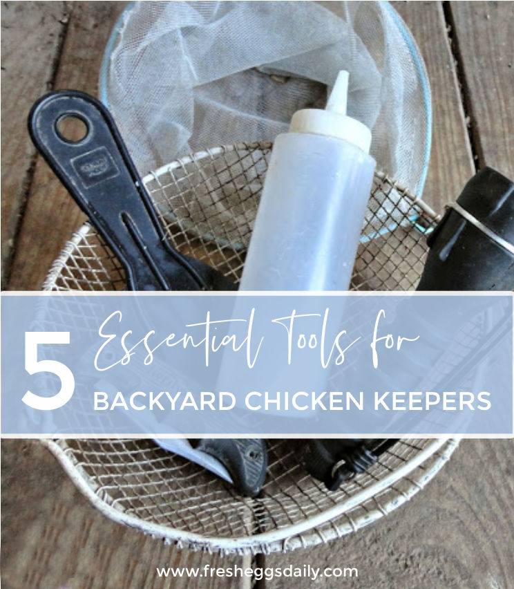 5 Essential Tools for Backyard Chicken Keepers - Fresh Eggs Daily® with ...