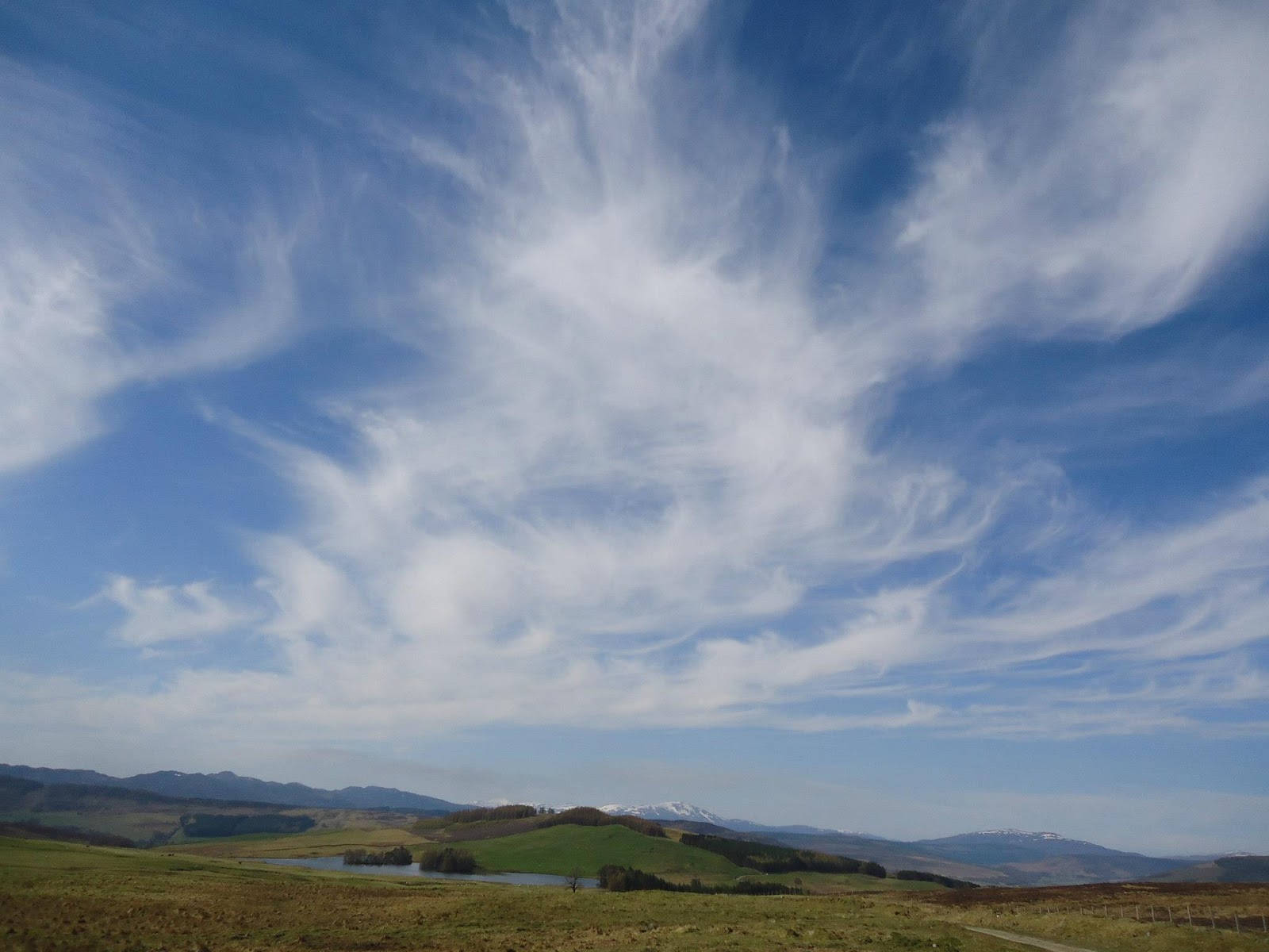 Welcome to my world!: 2019