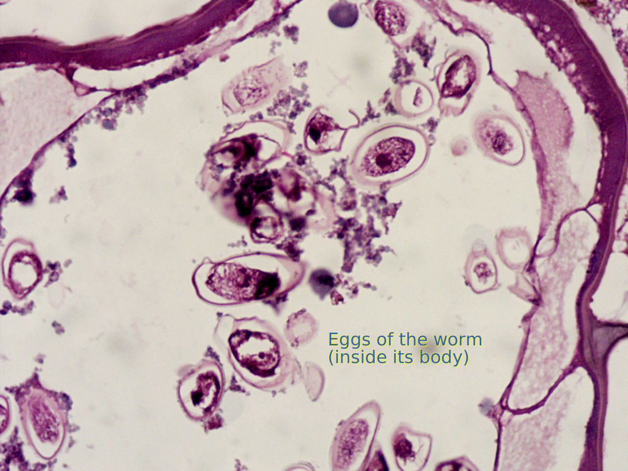 into the roots: 2019