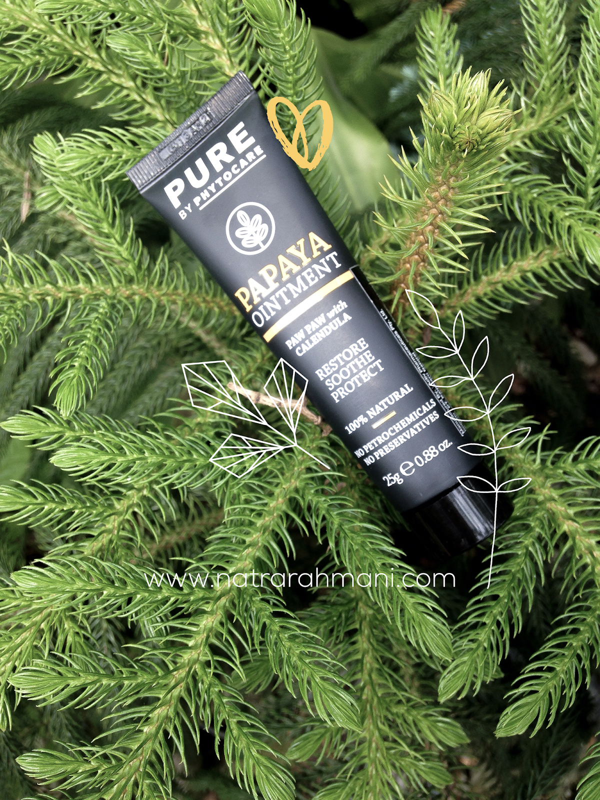 REVIEW PURE BY PHYTOCARE PAPAYA OINMENT / Natrarahmani