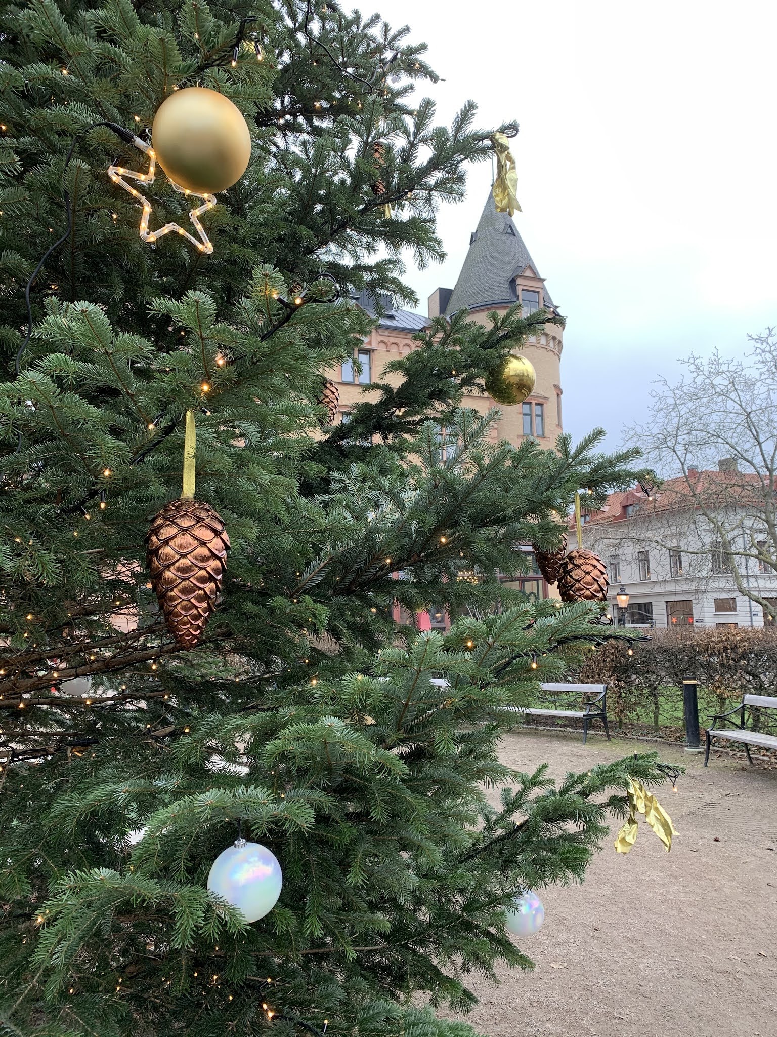 Destination Lund Sweden: Tourism, history and culture: Christmas trees ...