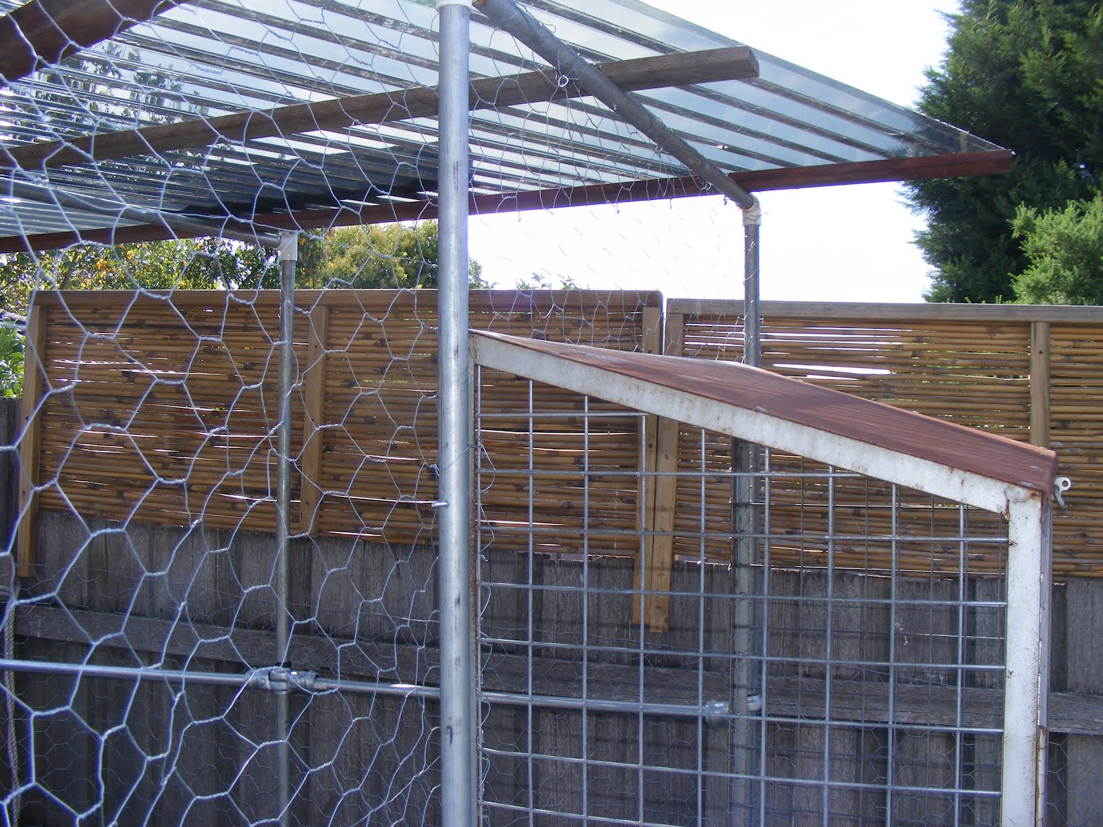 Backyard Self-Sufficiency: 13. All Things Chooky (or How to Build a ...