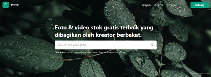 7 Situs Tempat Download Foto dan Gambar Gratis Bebas Hak Cipta di ...