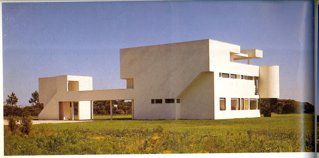 Saltzman House: Project Information