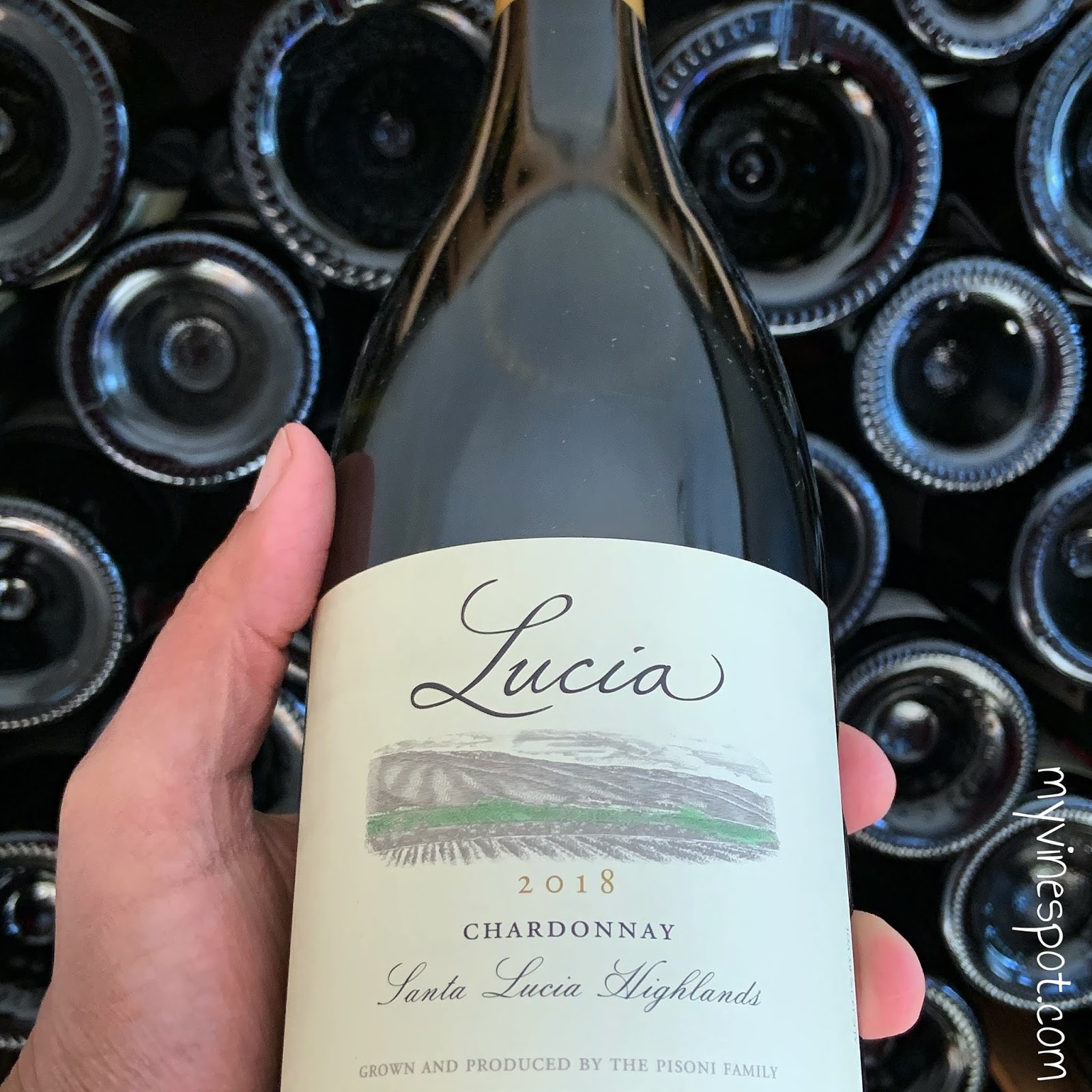 #AlmaLuciaWine: Alma de Cattleya and Lucia Vineyards Twitter Wine ...