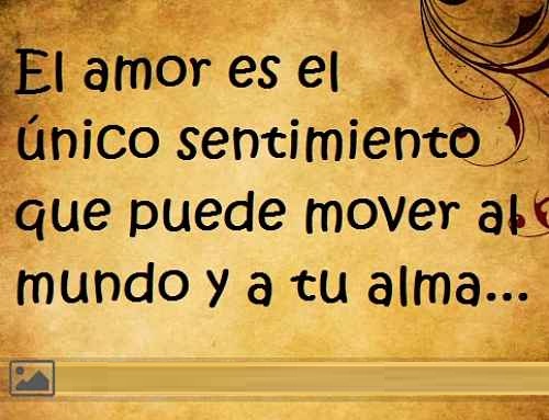 A.M.O.R.: ¿Qué es el A.M.O.R.?