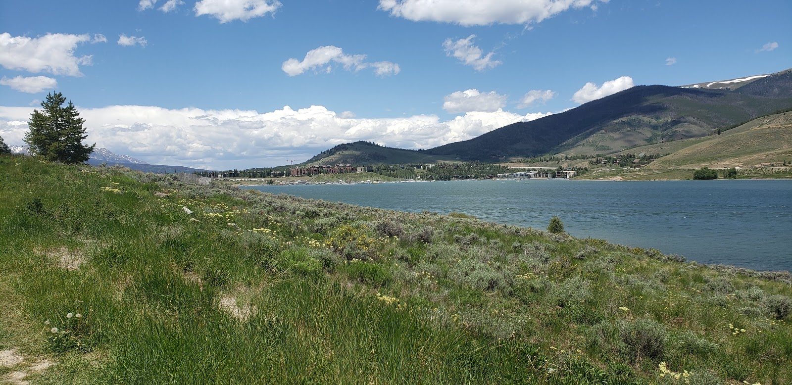 Colorado Bound: Meadow Loop and Ridge Trail