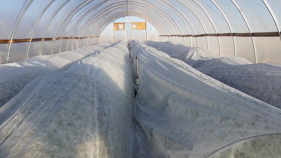 Winter Production. The Costs. The Labor. The Reality