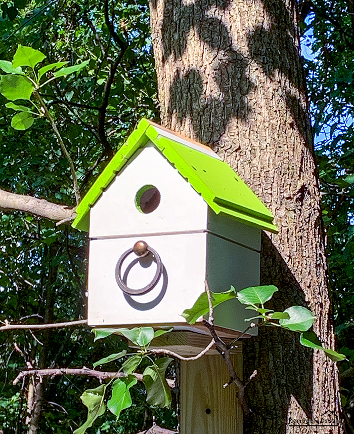 DIY - Birdhouse - Remodelando la Casa
