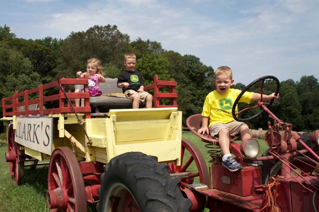 Henry Homestead: Another Farm Today?