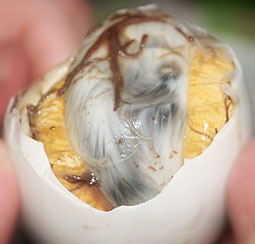 BahayAtBuhaySaPinas: Popular and Famous Street Foods in the Philippines