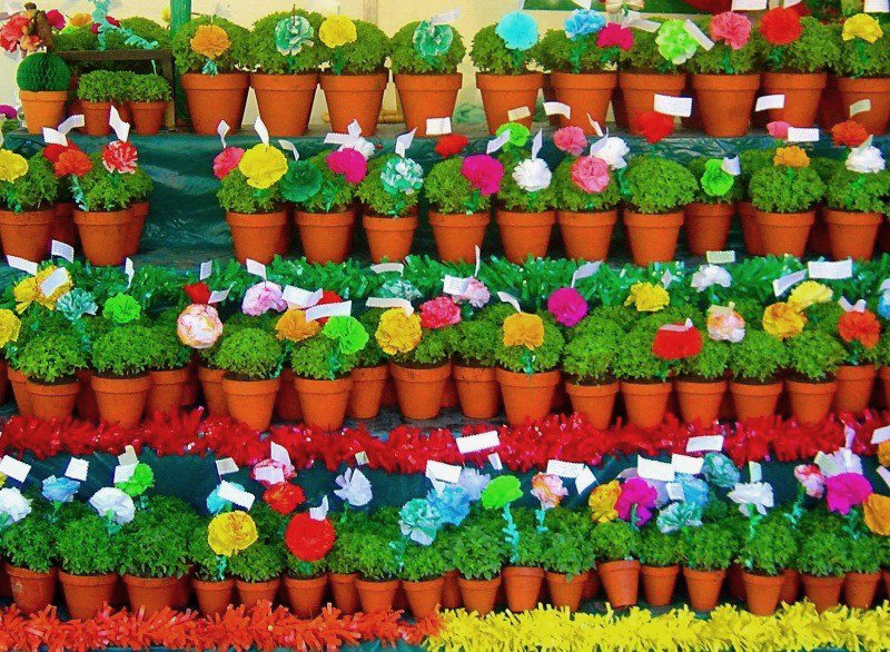 Tradição: O Manjerico!