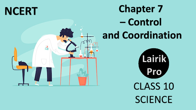 Chapter 7 – Control and Coordination