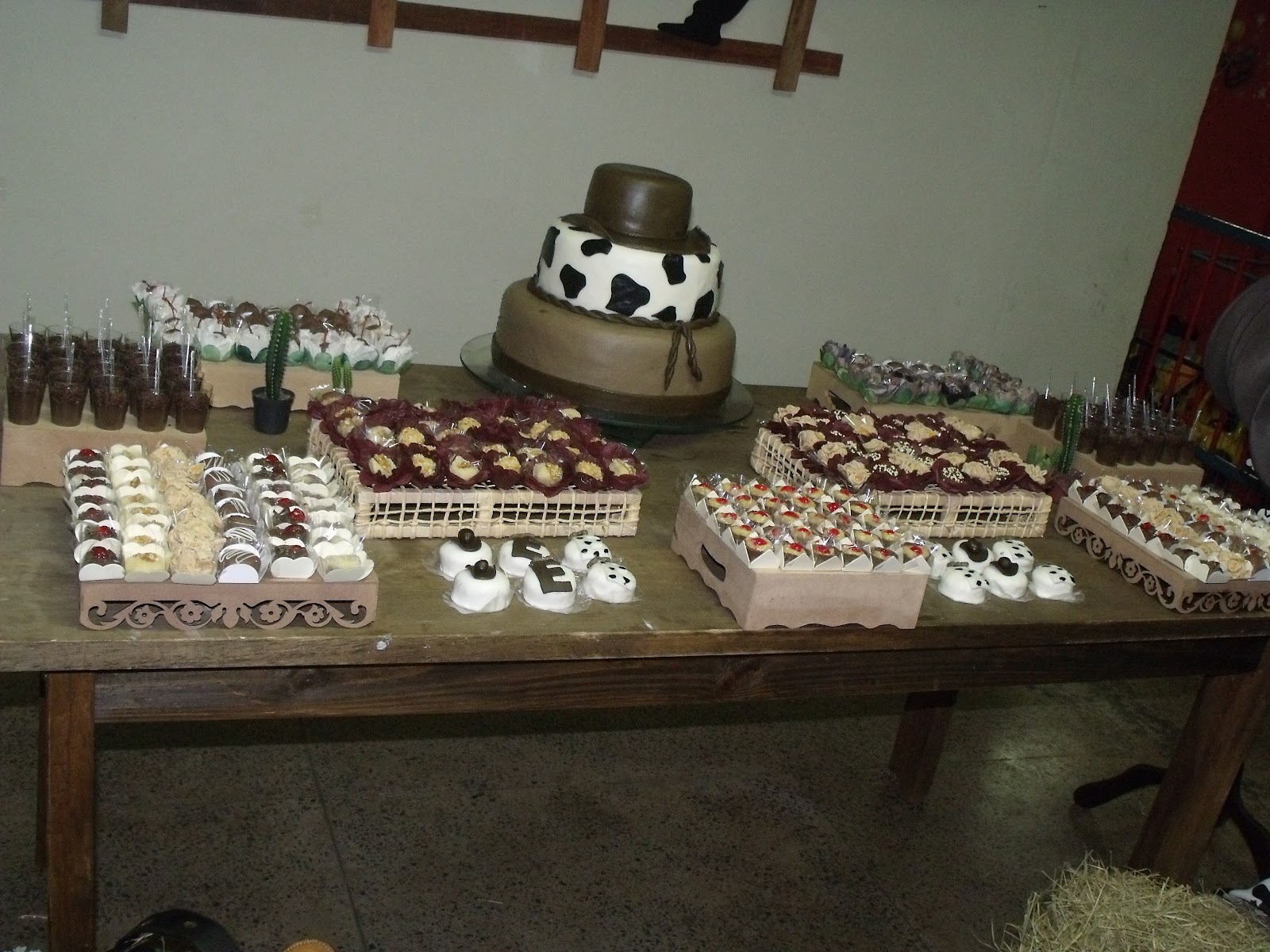 Festaria Festas e Festas Provençais: Festa Country