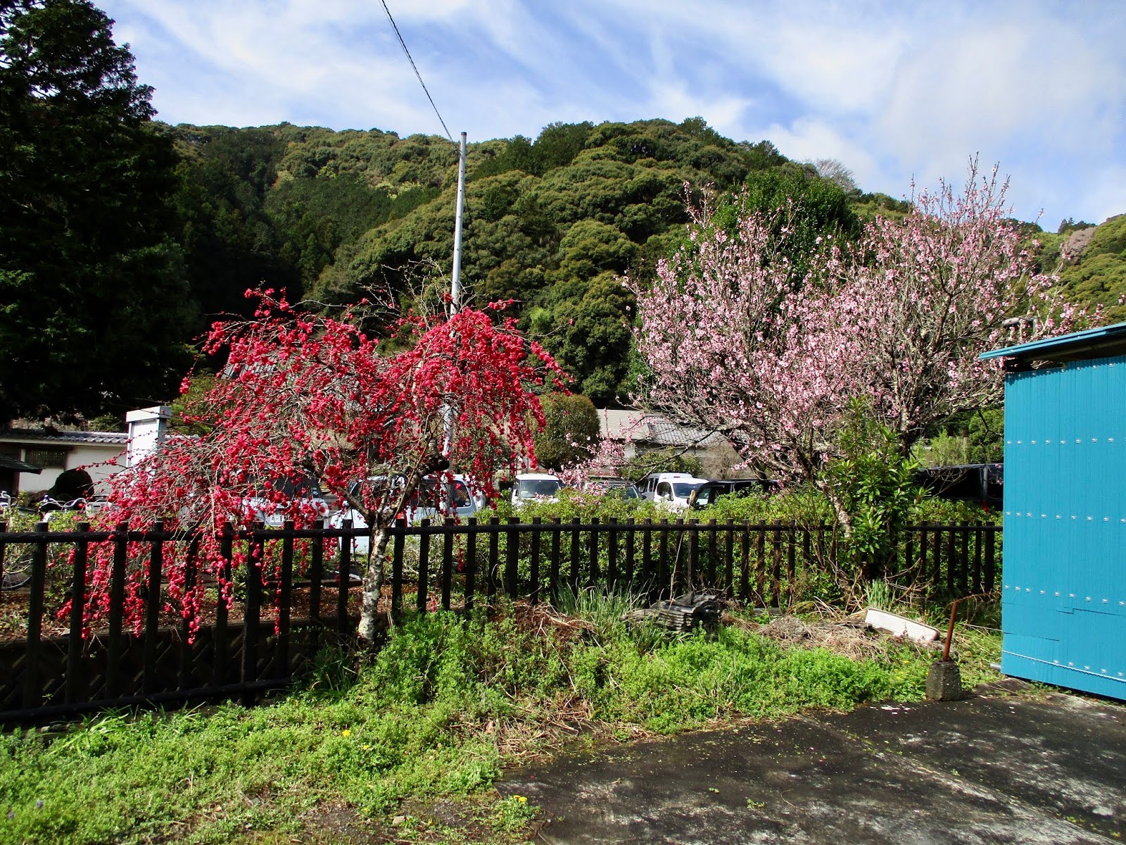 Hokkaido Kudasai: The Moss Head is Missing
