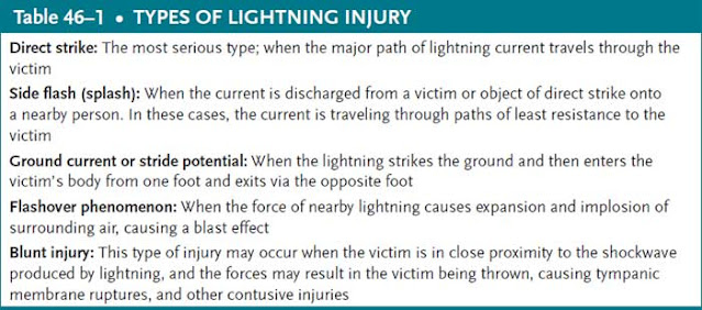 Lightning and electrical injury case file
