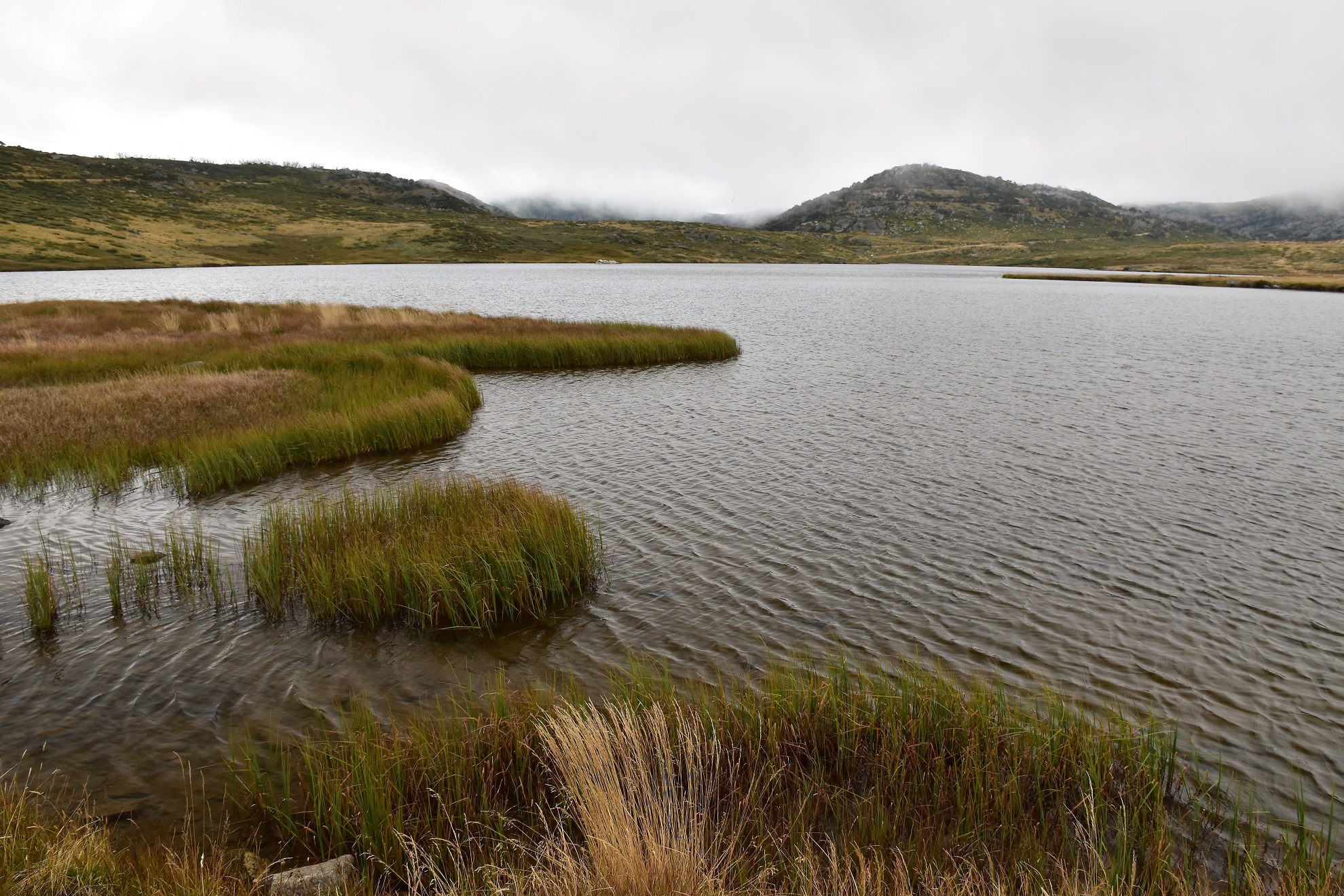Goin' Feral One Day At A Time: Pretty Valley ~ Mt Jim Circuit Walk ...