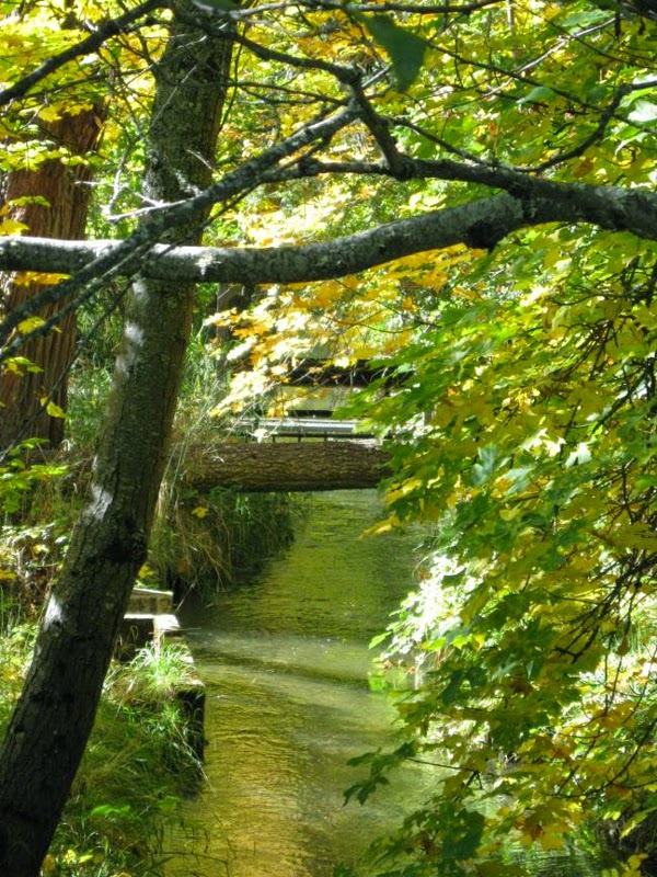 Hiking Sasquatch Country: McKee Covered Bridge