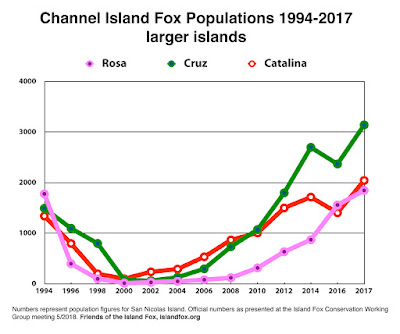 Friends of the Island Fox: 2018 Channel Island Fox Update