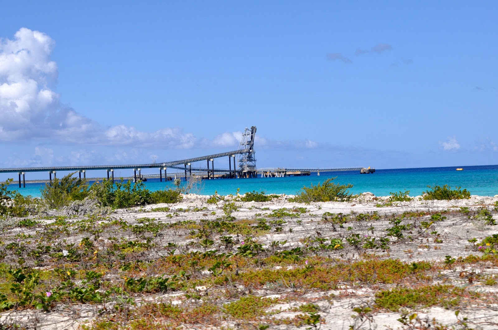 Three Kids and a Boat: Land Ho...Great Inagua, Bahamas