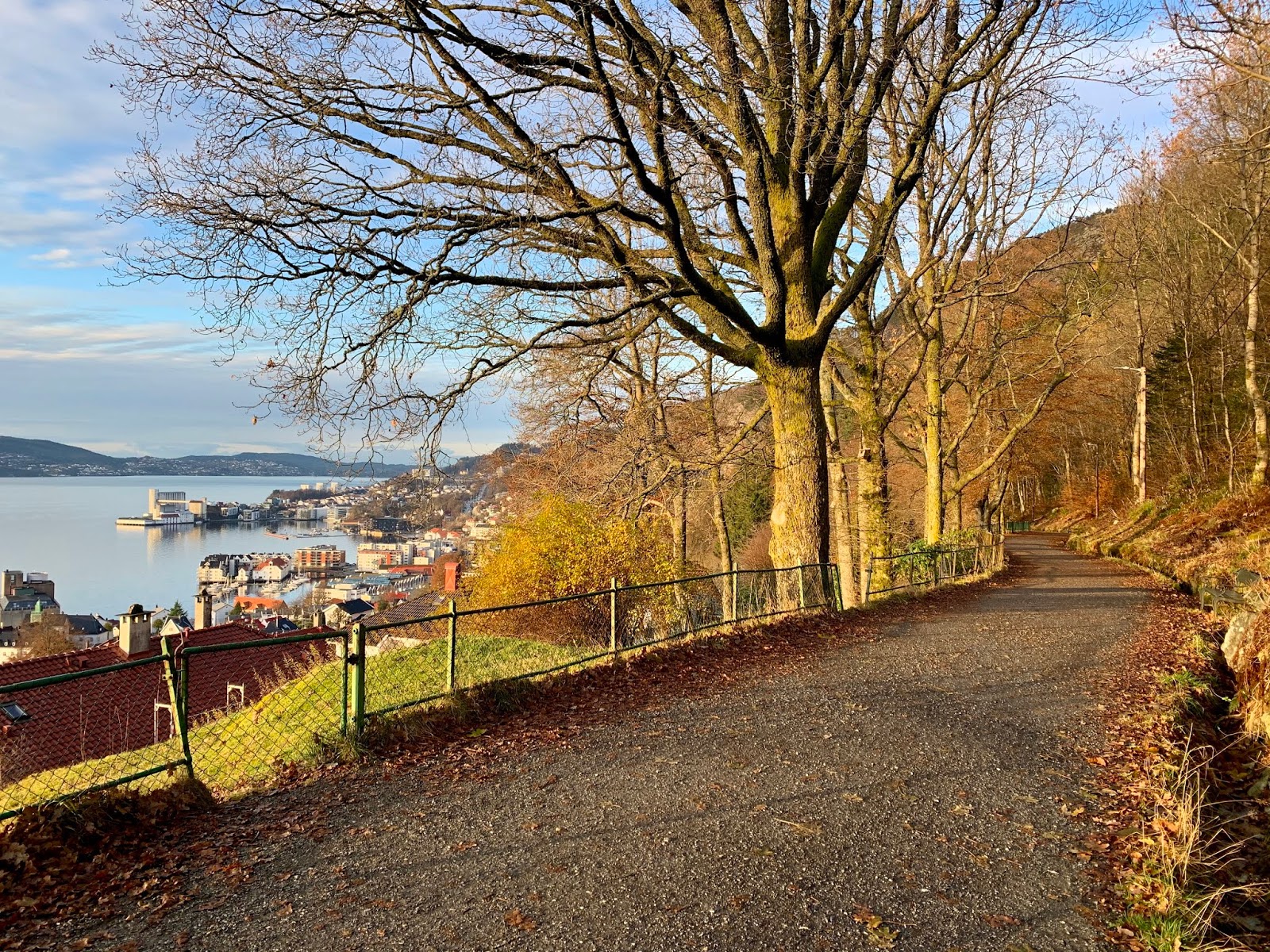 Goturen: Stoltzekleiven