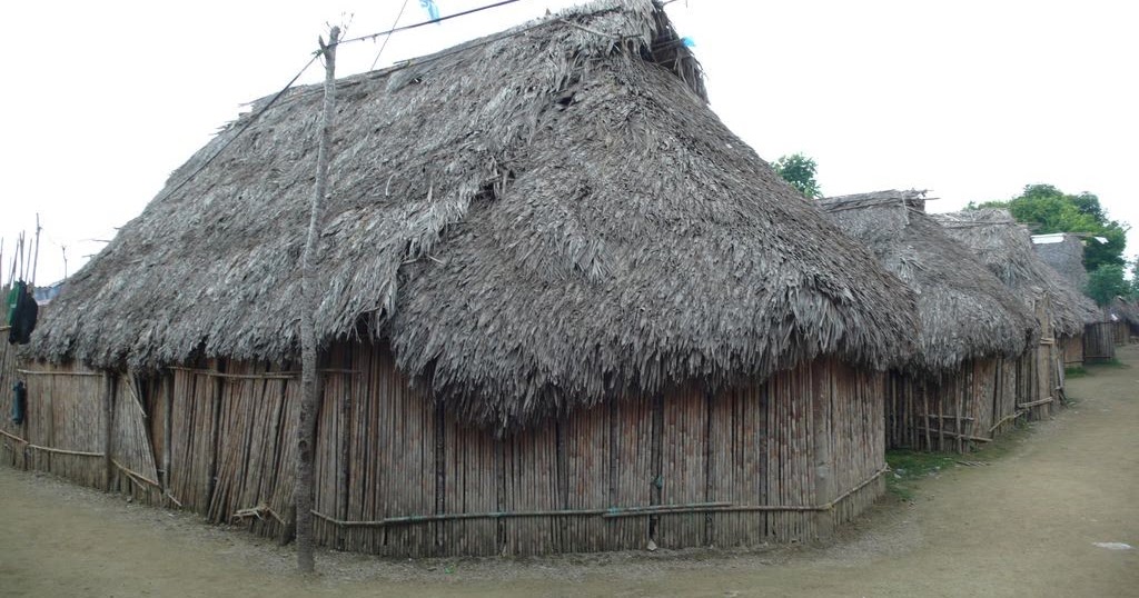 Los Gunas: Organizacion social y economica