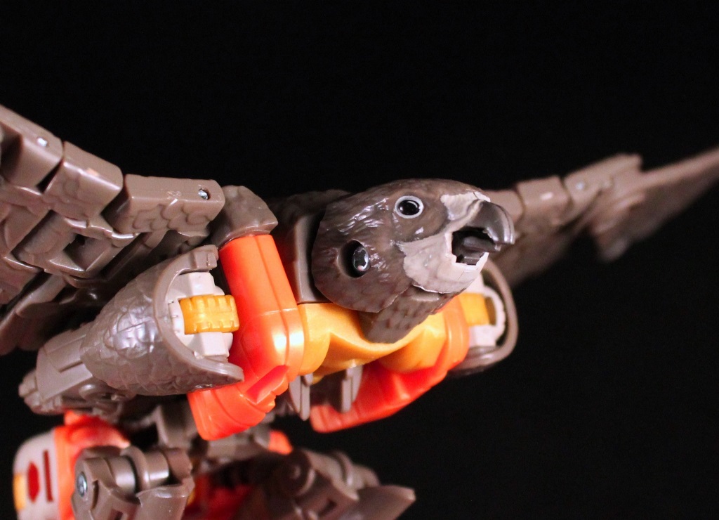 She's Fantastic: Transformers - AIRAZOR!