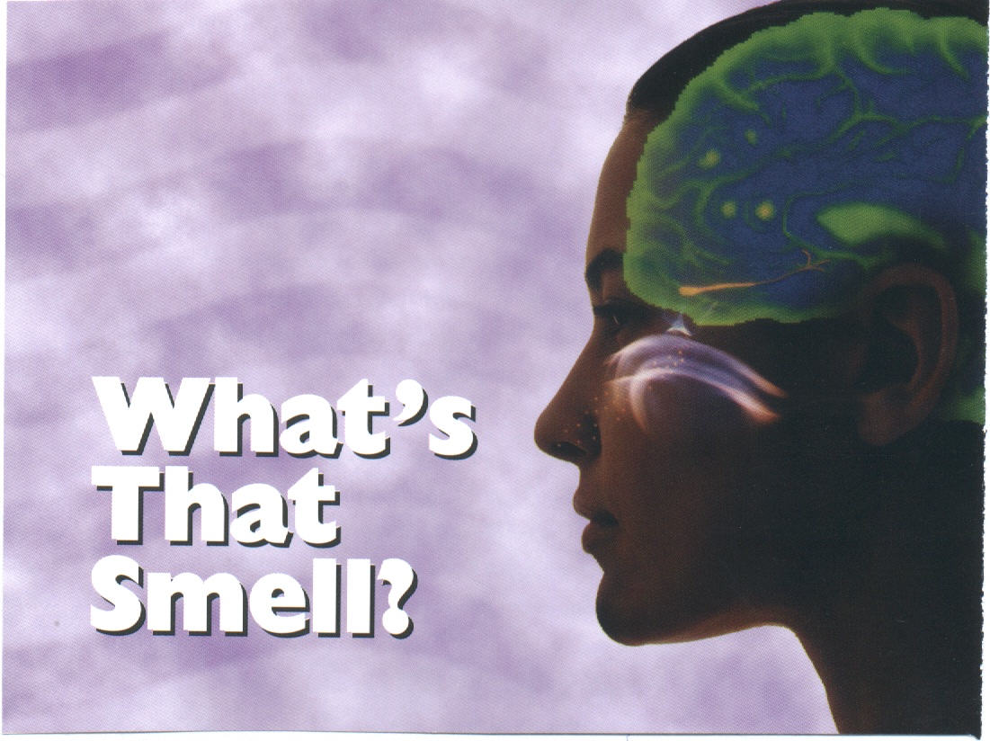 Pensei que sabia: Can you smell it? What?