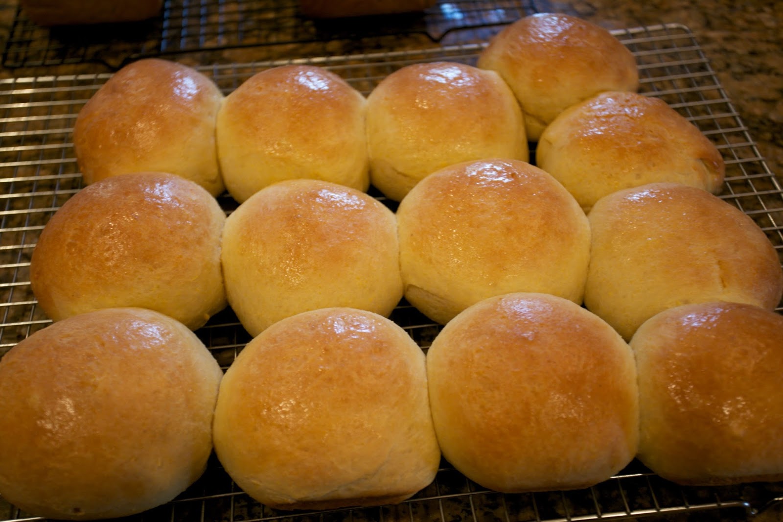 Fluffy Cornmeal Dinner Rolls