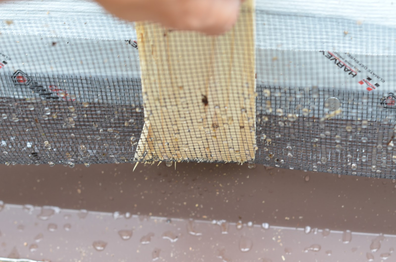 From My Hearth to Yours: GOODBYE Stink Bugs! We're Fortified!