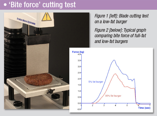 Texture Analysis Professionals Blog: Testing texture in reformulated food
