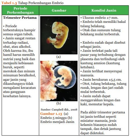 Tulisanepakwid: BAB 1 SISTEM REPRODUKSI PADA MANUSIA UNTUK KELAS IX SMP
