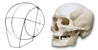Sphere Form of the Human Head at various angles